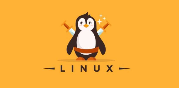 Basic Linux Commands Quiz Test Trivia Flashcards And Questions 0243
